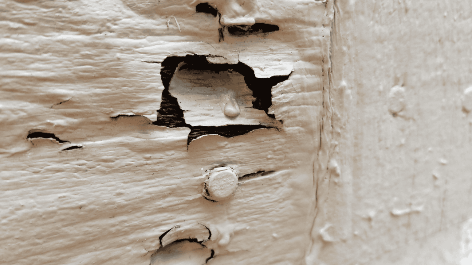How to Fix a Rotting Wooden Door - Vivid Doors