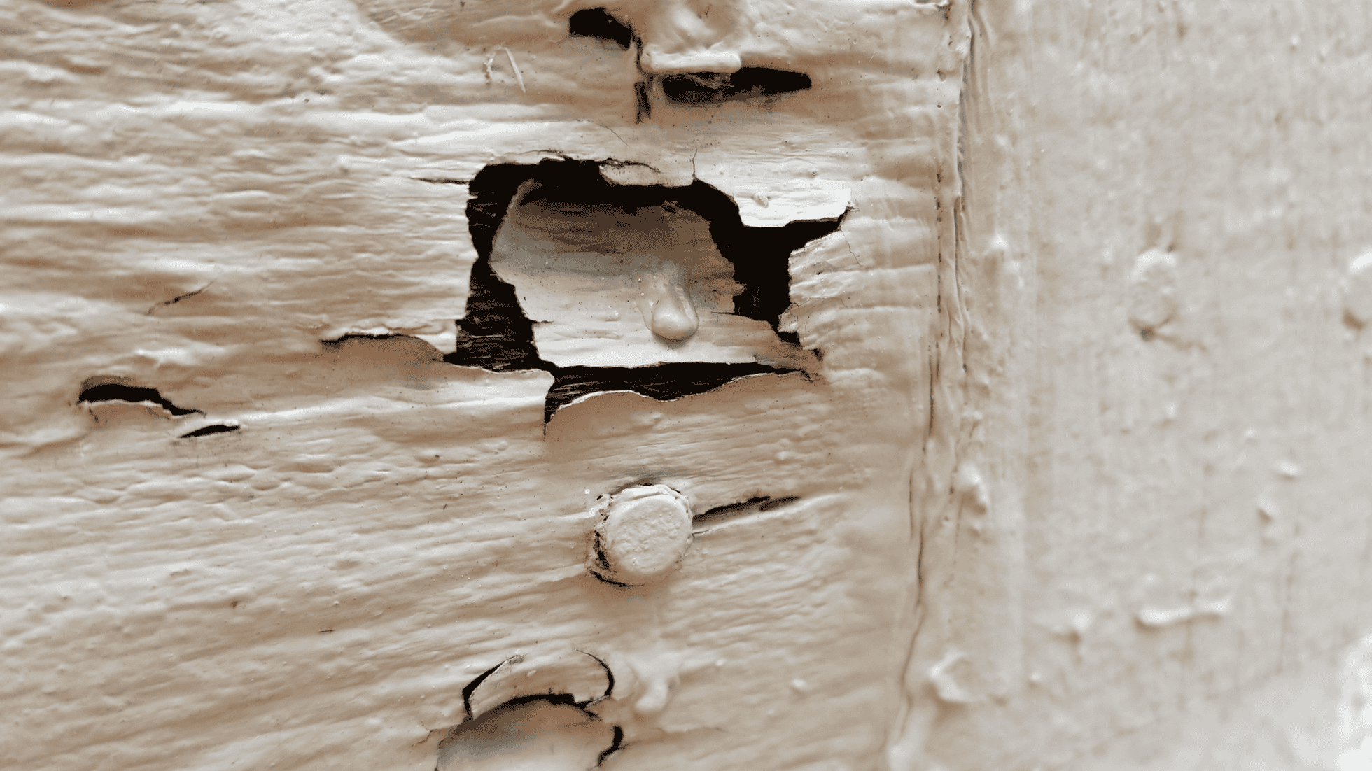How to Fix a Rotting Wooden Door - Vivid Doors